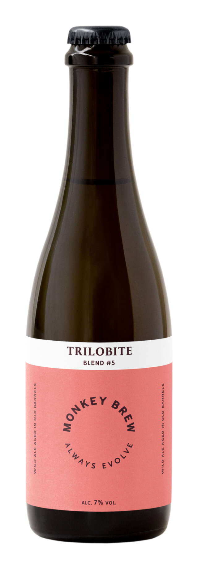 Wild Ale | Monkey Brew